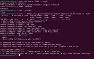 How to Install npm on Linux: A Step-by-Step Tutorial